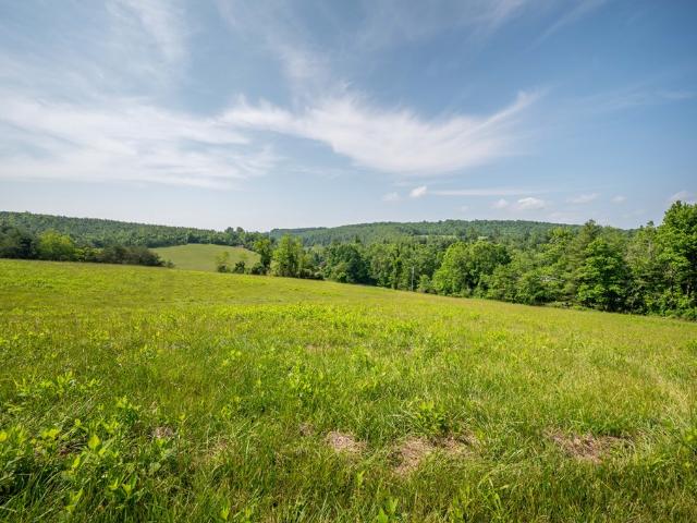 1073 Timberline Road