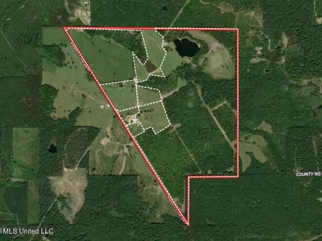 107 Co Rd, Pachuta, MS 39347 | MLS #4073
