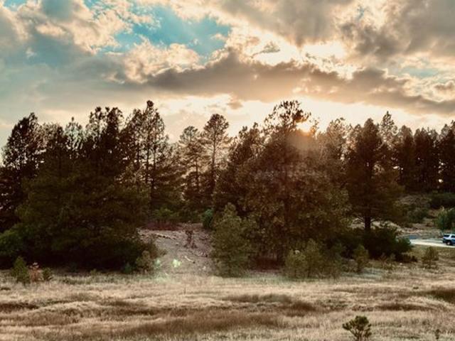 107 Chase Ct, Pagosa Springs, CO 81147