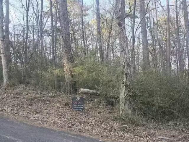 107 CHAPEL DR # N, BESSEMER, AL 35023 Vacant Land For Sale ML.
