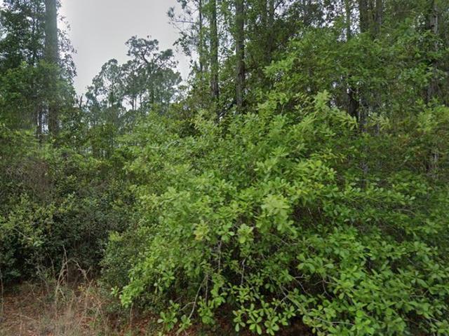 107 Glenside St, Georgetown, FL 32139
