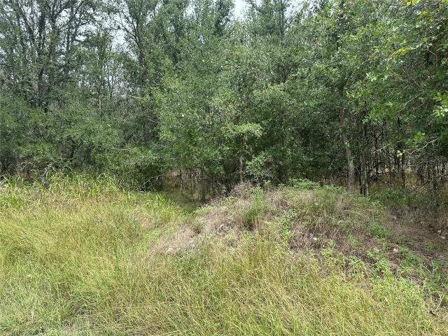 107 Halawa Ct