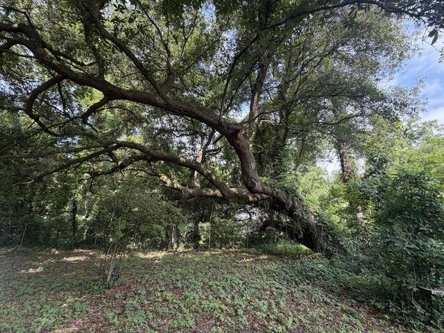 107 Lockhart St, Walterboro, SC 29488