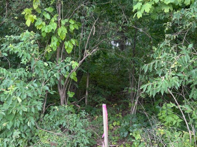 107 Long Powers Rd