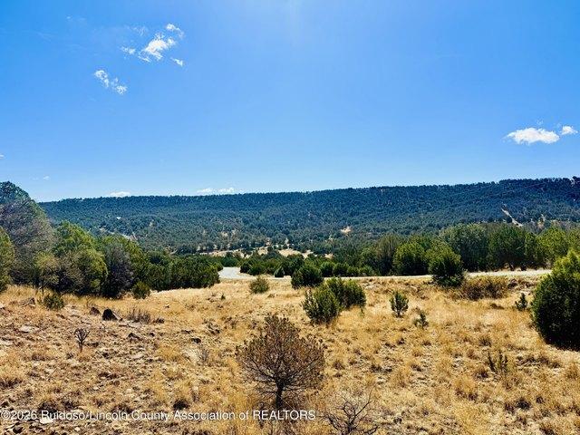 107 Santiago Cir Lot 285, Alto, NM 88312