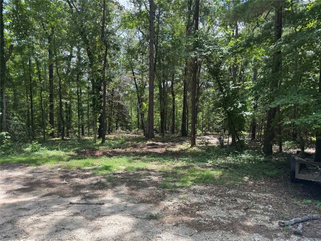 107 Pine High Ln, Brookeland, TX 75931 | MLS #93839