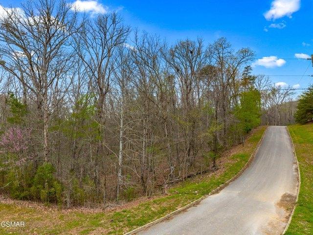 107 Turtle Dove Trl, Dandridge, TN 37725