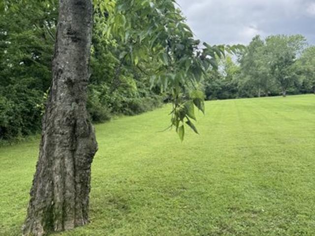 107 Tyne Bay Dr, Hendersonville, TN 37075