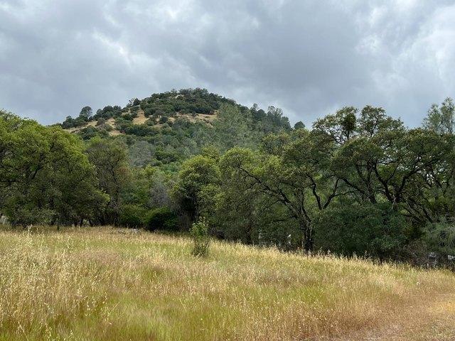 10840 Pool Station Rd, Angels Camp, CA 95222