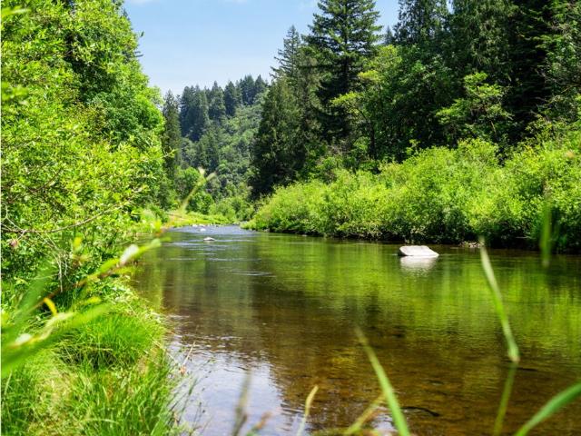 10842 washougal river rd