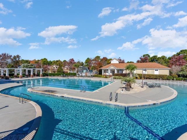 1084 Fiddlehead Way
