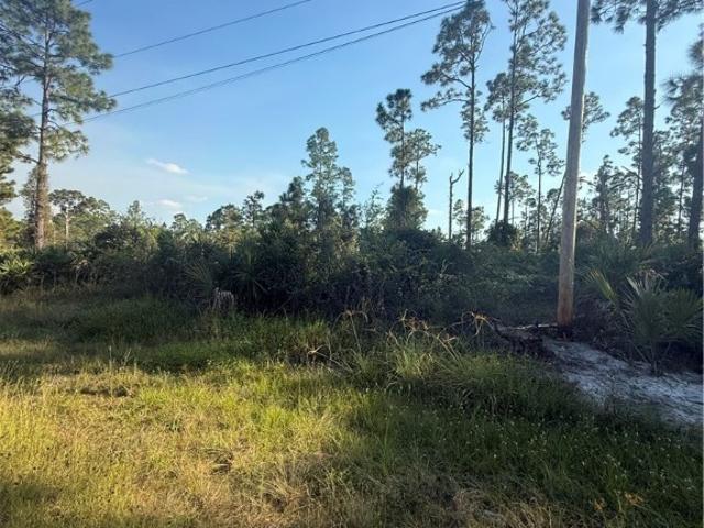 1084 1 Ainsworth St E, Lehigh Acres, FL 33974 | MLS #2025021