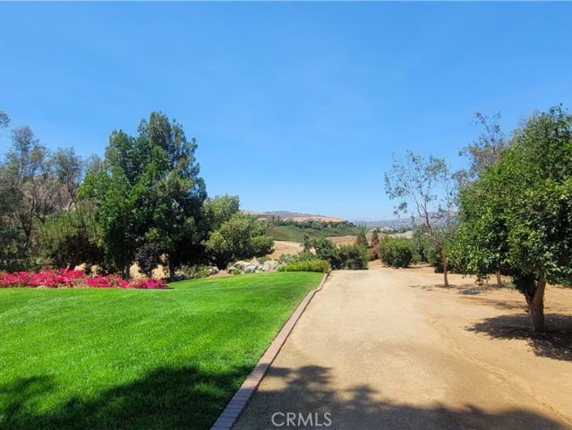 10851 Orchard View Lane