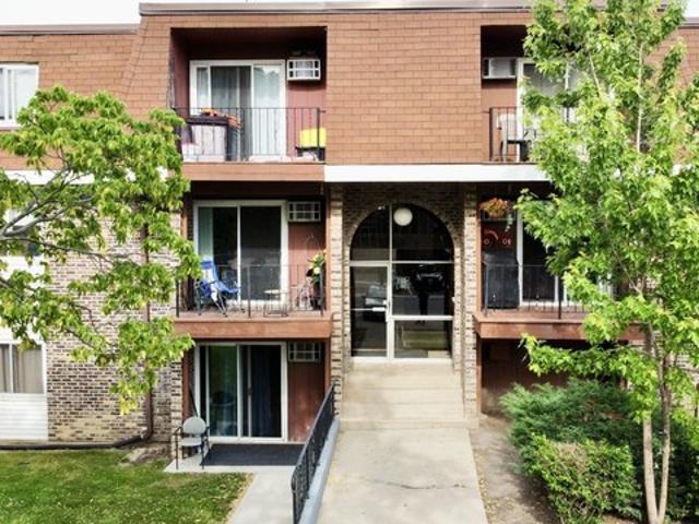 1085 Knoll Ln Apt 207, Hoffman Estates, IL 60169