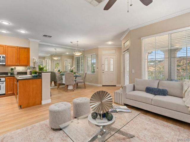 10867 Serafina Ln 37