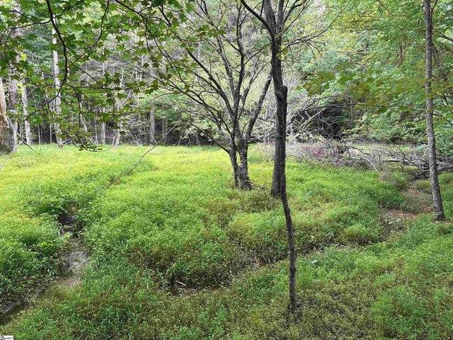 1087 Bobby Faucette Rd, Jonesville, SC 29353