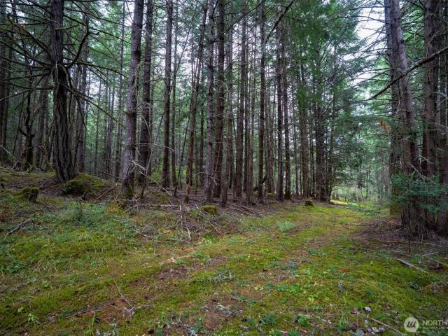 1087 Cady Mountain Road