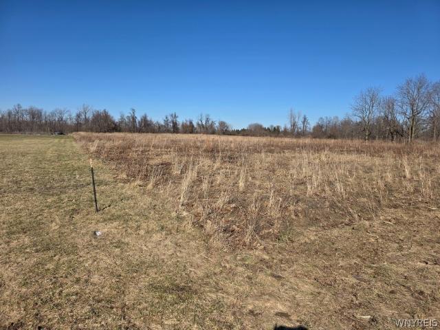 10880 Miland Rd, Clarence, NY 14032 | MLS #B1667