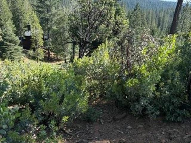 1088 Greensboro Way, Arnold, CA 95223