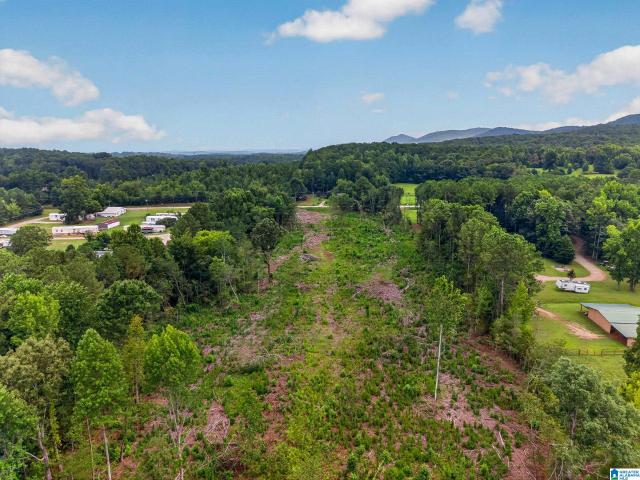 1088 Whites Gap Road # 0