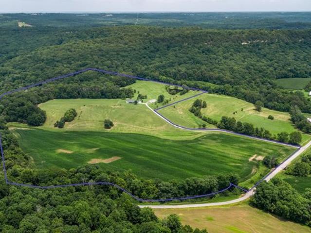 10891 Lick Creek Rd, Buncombe, IL 62912