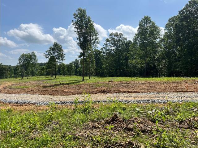 10898 Back Piney Rd, Bon Aqua, TN 37025 | MLS #2944