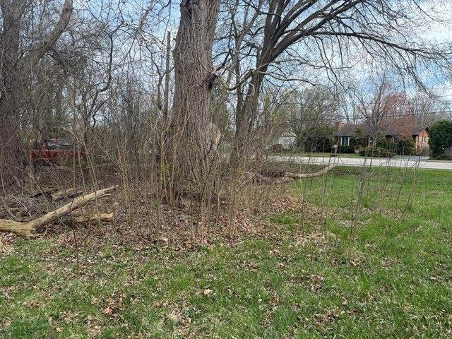 10802 W York House Rd, Beach Park, IL 60087