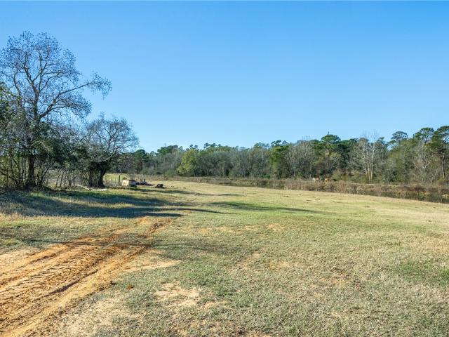 10802 County Road 203