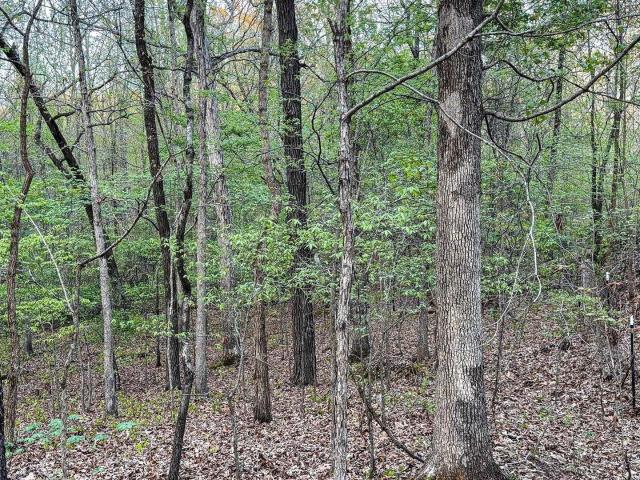 1080 County Road 757