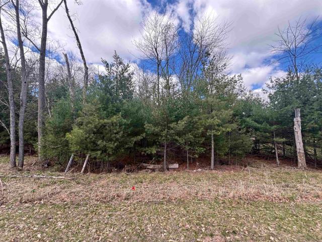 1080 Red Hawk Ct, Wisconsin Rapids, WI 54494 | MLS #2016