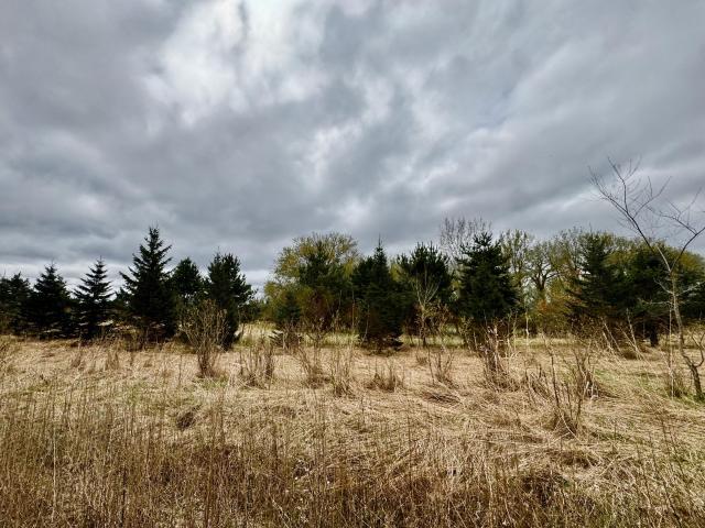 10817 Grand Lake Road