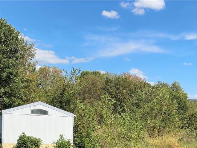 10820 & 10846 Illinois Chapel Road