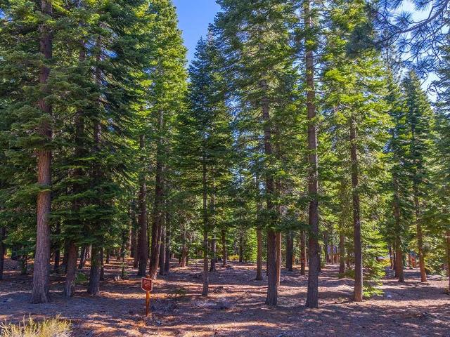 10830 Cairncroft Ln, Truckee, CA 96161 | MLS #20260