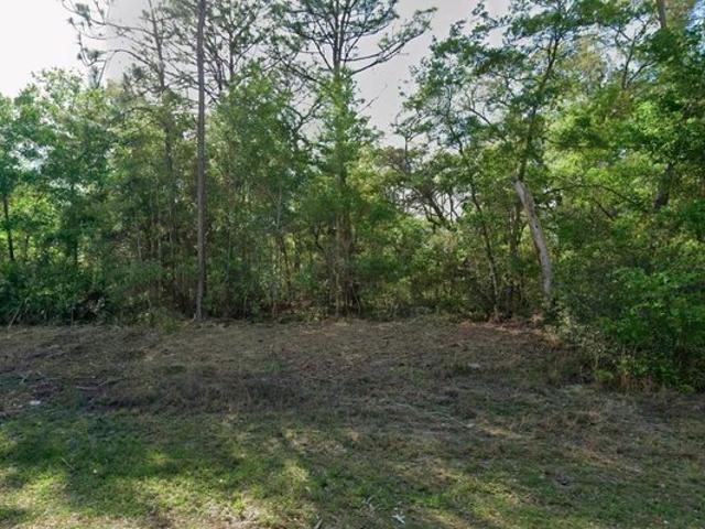 10830 N Hatari Dr, Citrus Springs, FL 34434