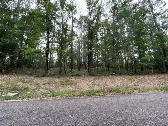 10835 MITT DR, CITRONELLE, AL 36522 Single Family Residence Fo.