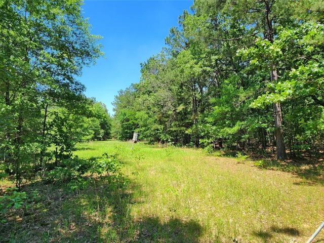 108.6 Acres East Side County Road 3230