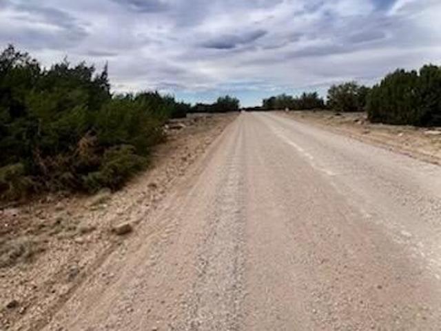 108 County Road 8127, Concho, AZ 85924