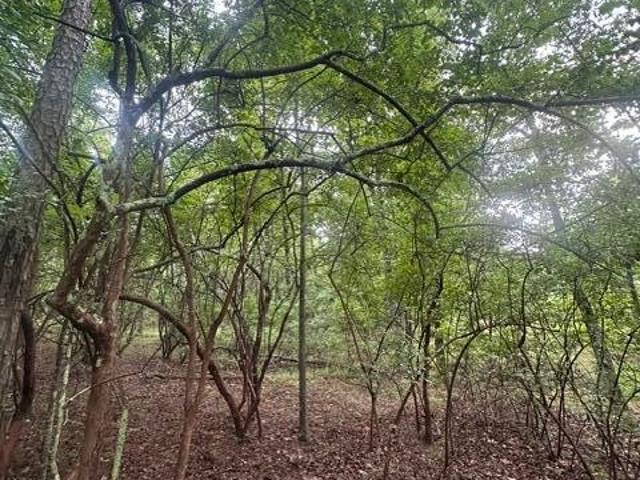 108 Chesadu Circle