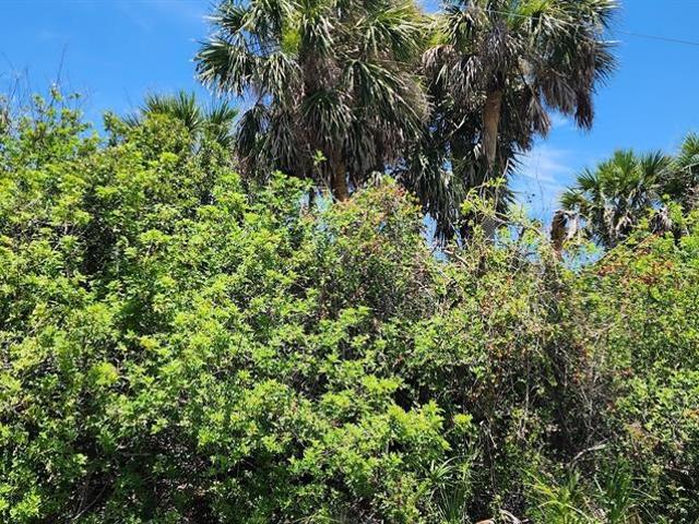 108 Bebb Ct, Rotonda West, FL 33947 | MLS #D6143