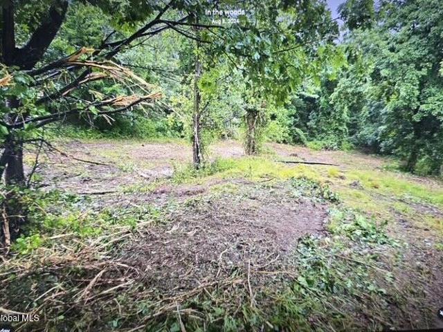 108 Bellview Rd, Brunswick, NY 12180 | MLS #202612