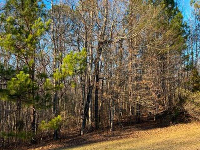 108 Garden Dr, Forsyth, GA 31029
