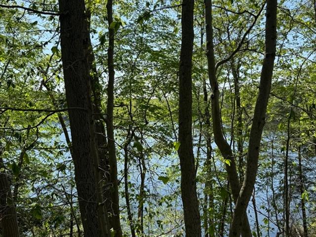 108 Dudley Rd, Wayland, MA 01778 | MLS #73445 | Compass