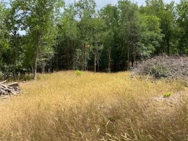108 Kikipua, Bastrop, TX 78602 | MLS #1656 | Compass