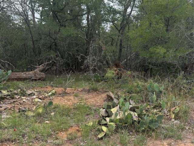 108 Howi Ln, Bastrop, TX 78602 | MLS #6608