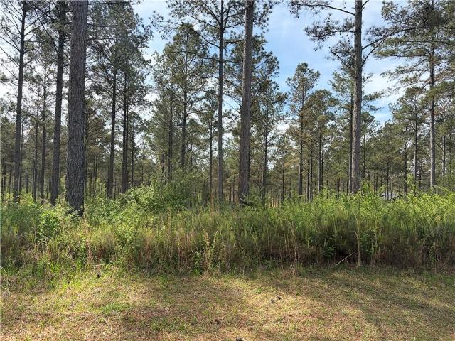 108 High River Crossing Rd, Ellijay, GA 30540 | MLS #7744 | Compass
