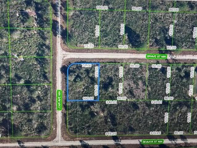 108 Lear Ave NW, Lake Placid, FL 33852