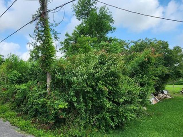 108 W 72nd St, Cut Off, LA 70345
