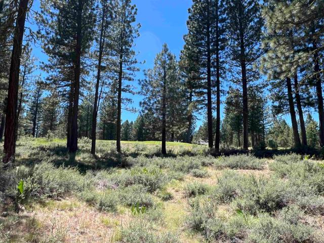 108 Wind Song, Clio, CA 96106 | MLS #20240