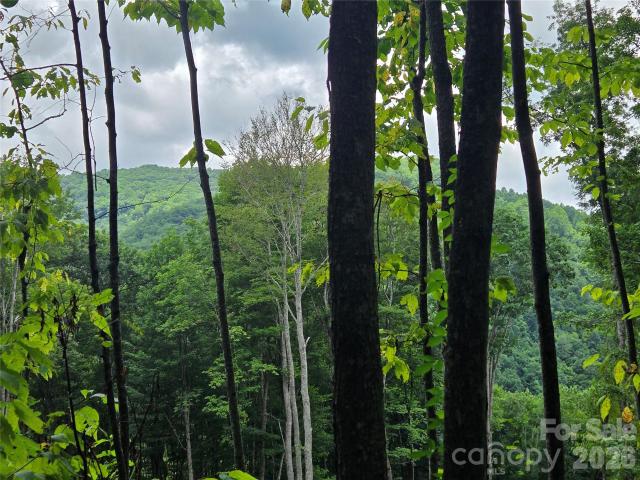 108 Tenderfoot Trail # 108 & 109