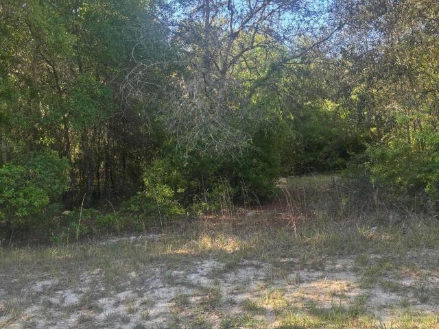 108 Tulip Ct, Hawthorne, FL 32640 | MLS #2082 | Compass